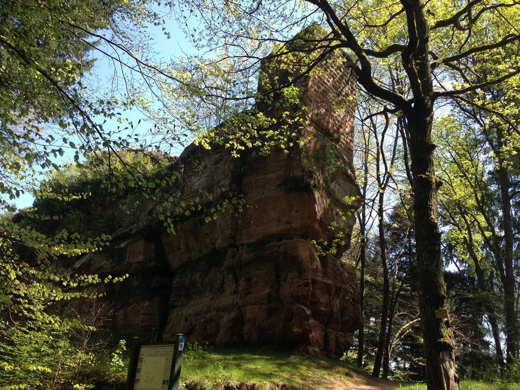 Burgruine Blumenstein